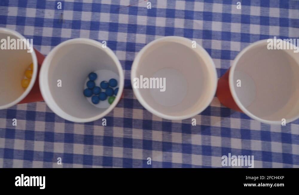 Gum berry Stock Videos & Footage - HD and 4K Video Clips - Alamy