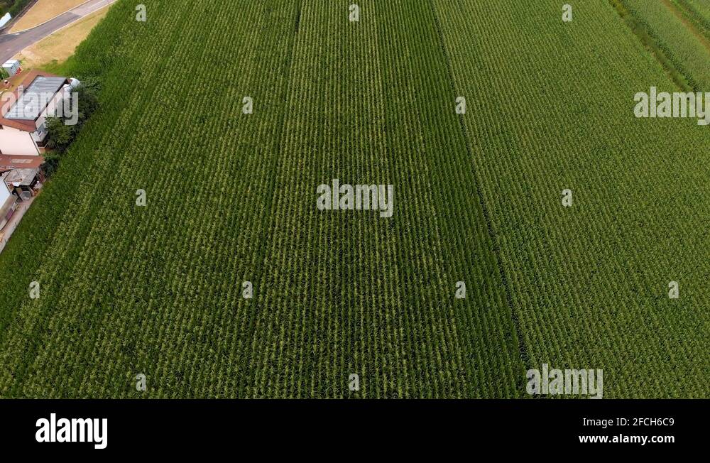 Europe harvest Stock Videos & Footage - HD and 4K Video Clips - Alamy