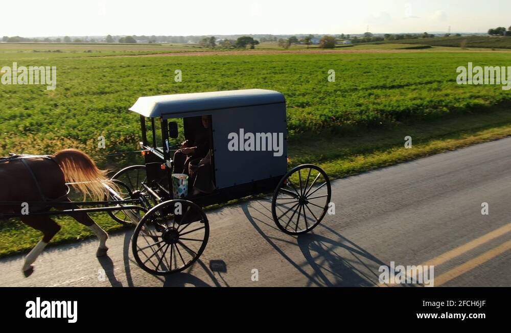 Driven Amish Buggy Stock Videos Footage Hd And 4k Video Clips Alamy