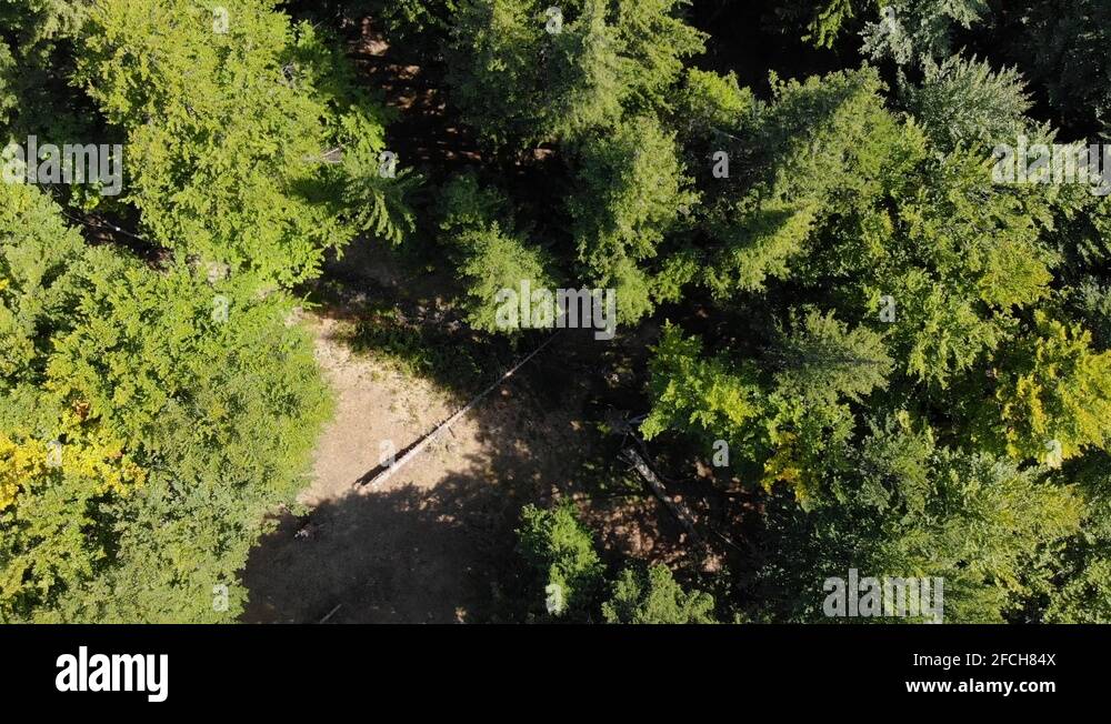 Top down view as the camera is descending into a small opening in the ...