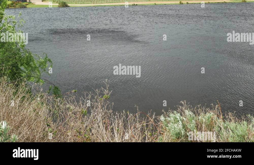 Bad farm conditions Stock Videos & Footage - HD and 4K Video Clips - Alamy