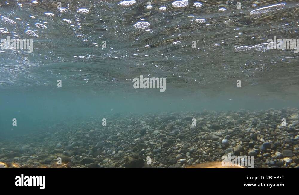 Underwater river rock Stock Videos & Footage - HD and 4K Video Clips ...
