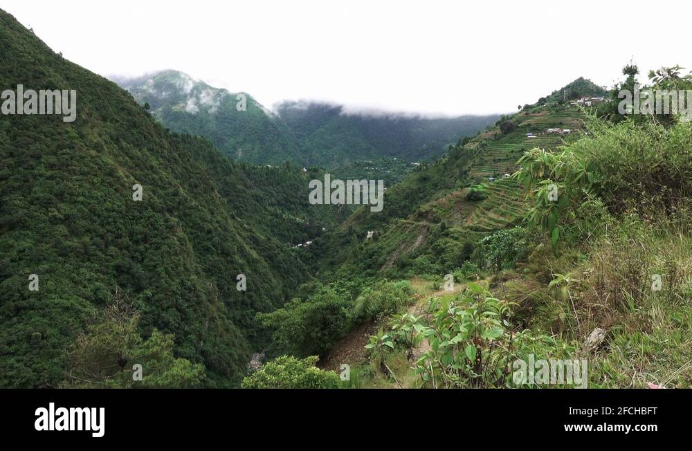 The beautiful green hills and valleys of the Himalaya Foothills of ...