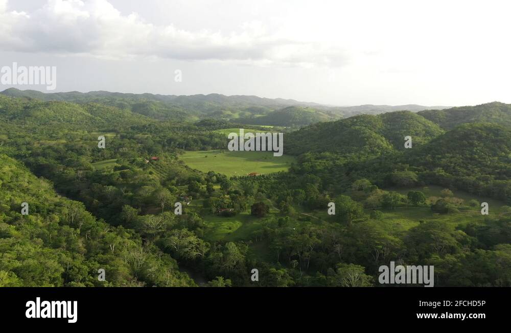 Jungle farm Stock Videos & Footage - HD and 4K Video Clips - Alamy