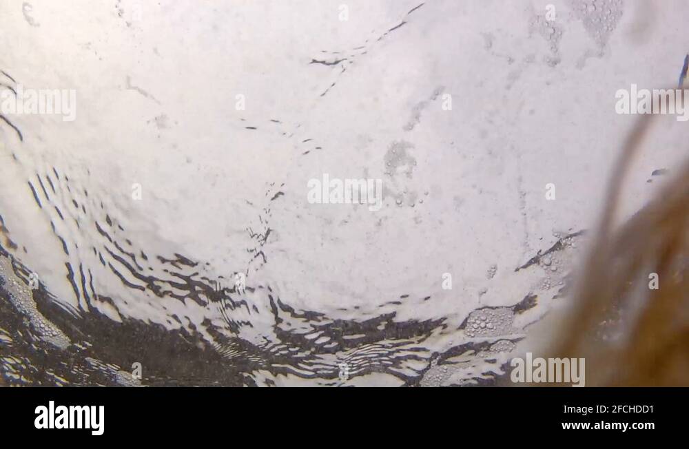 Bubble weed Stock Videos & Footage - HD and 4K Video Clips - Alamy