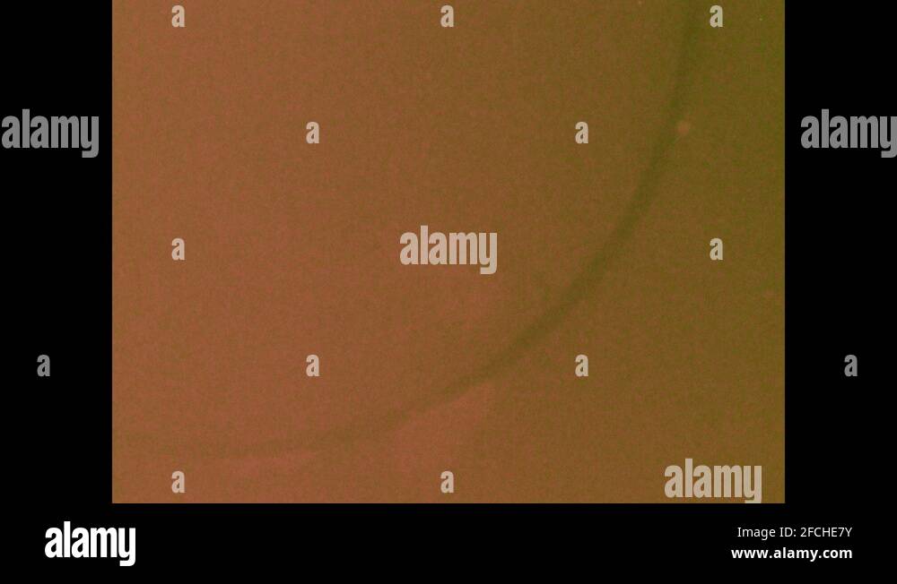 1970s: UNITED STATES: footage of sun and surface. Photograph of planet ...