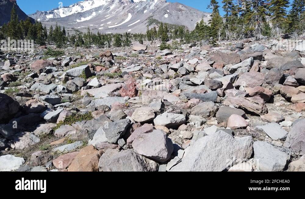 Shasta forest Stock Videos & Footage - HD and 4K Video Clips - Alamy