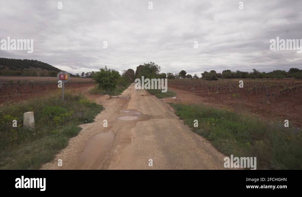 Dusty path trees Stock Videos & Footage - HD and 4K Video Clips - Alamy