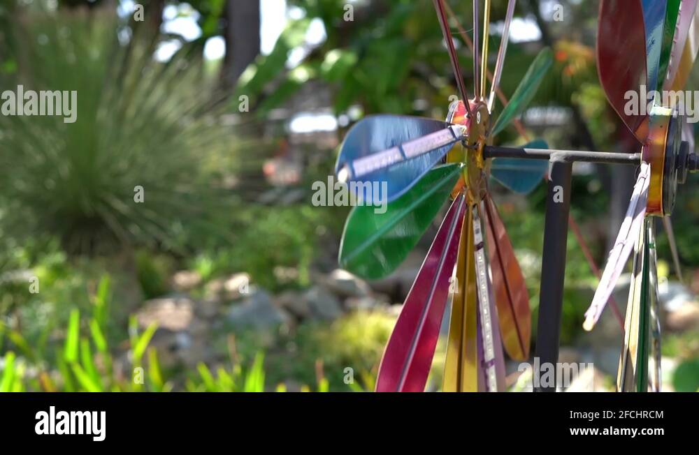 Pinwheel garden nature Stock Videos & Footage - HD and 4K Video Clips ...