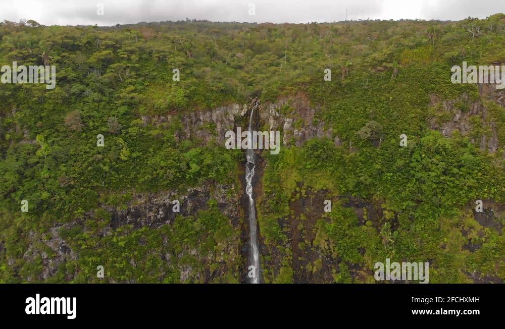 Alexandra mauritius Stock Videos & Footage - HD and 4K Video Clips - Alamy