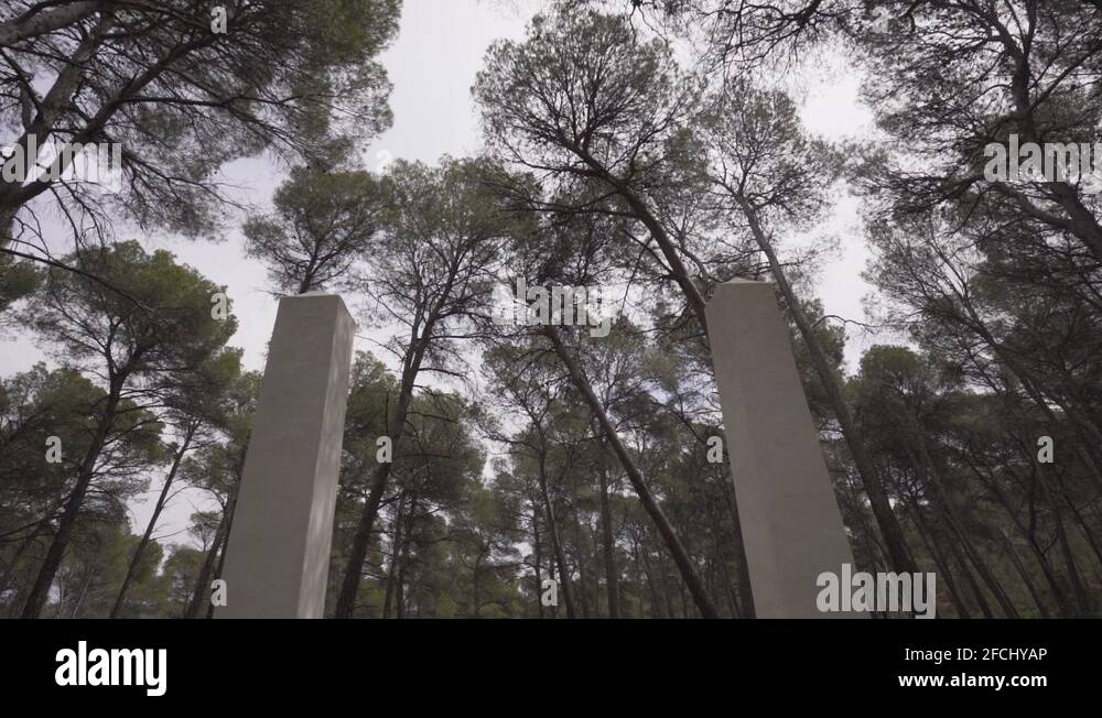 Two stone towers Stock Videos & Footage - HD and 4K Video Clips - Alamy