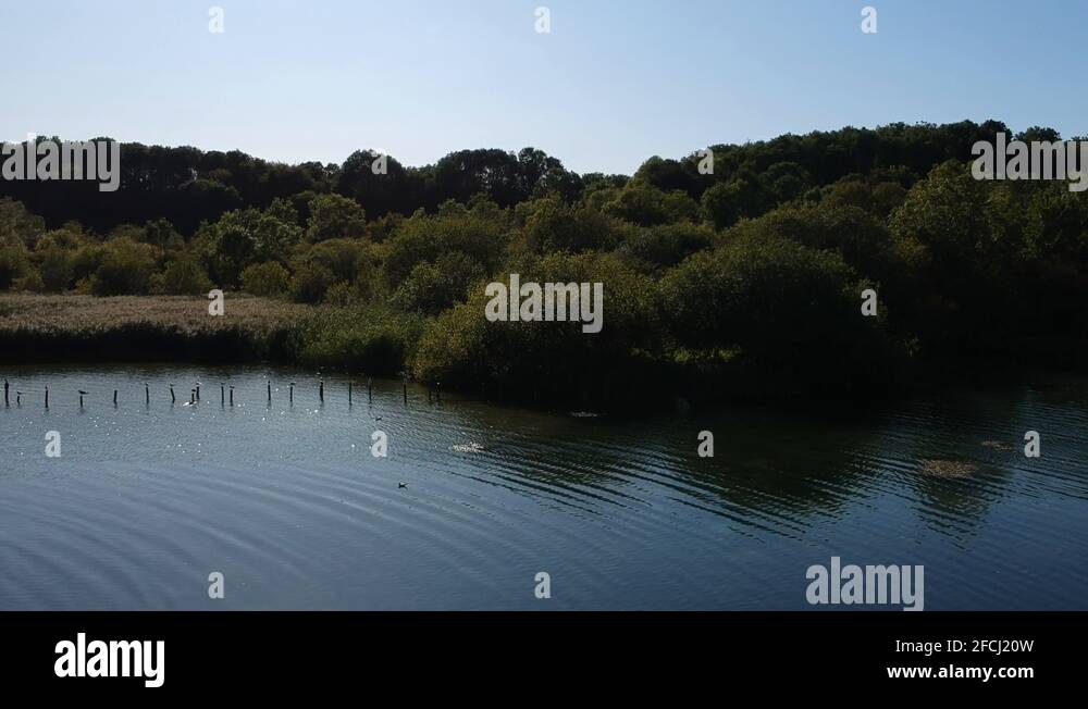 Blue lake wales Stock Videos & Footage - HD and 4K Video Clips - Alamy