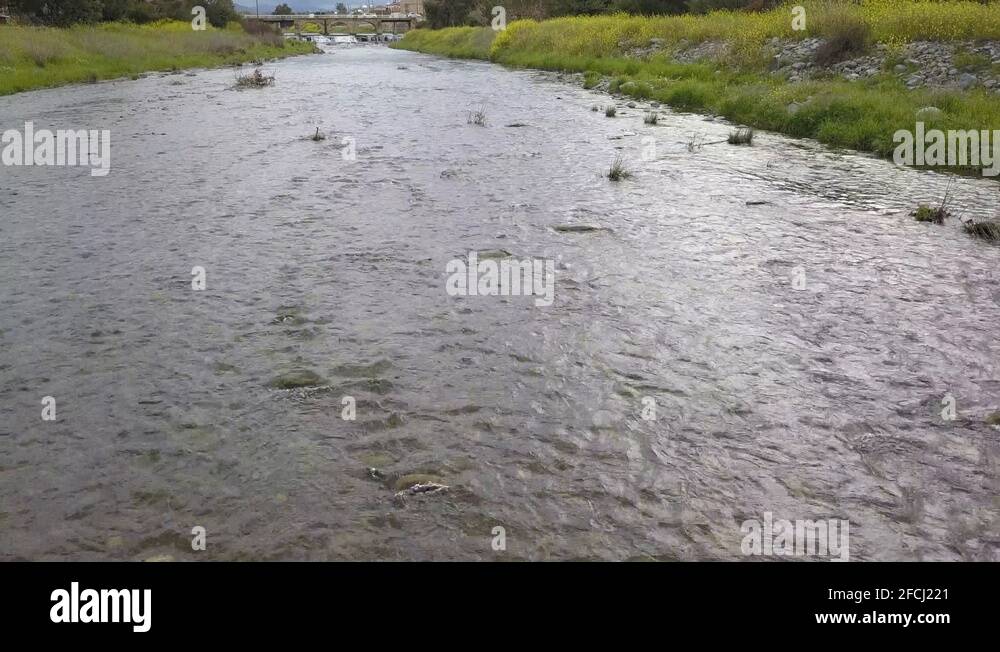 Low river gauge Stock Videos & Footage - HD and 4K Video Clips - Alamy