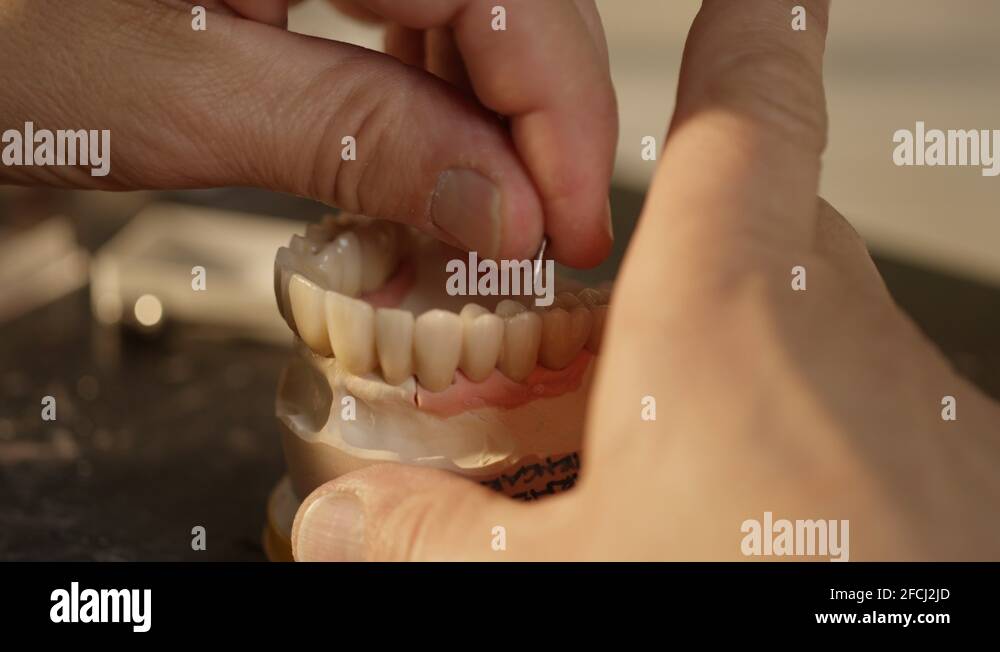 Screw anatomy Stock Videos & Footage - HD and 4K Video Clips - Alamy