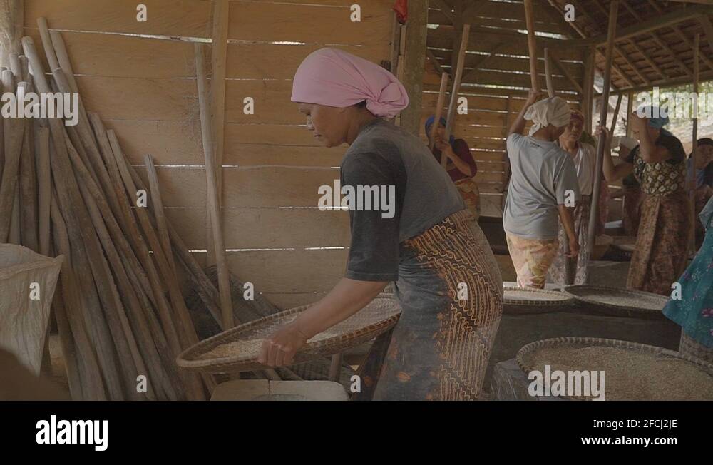 Woven art in nature Stock Videos & Footage - HD and 4K Video Clips - Alamy