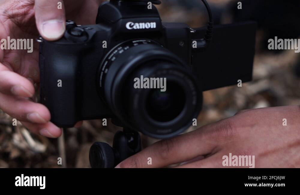 Using a canon dslr Stock Videos & Footage - HD and 4K Video Clips - Alamy