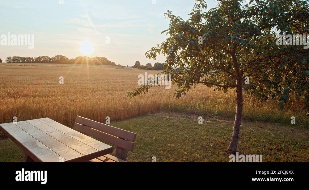 Bench spikes Stock Videos & Footage - HD and 4K Video Clips - Alamy