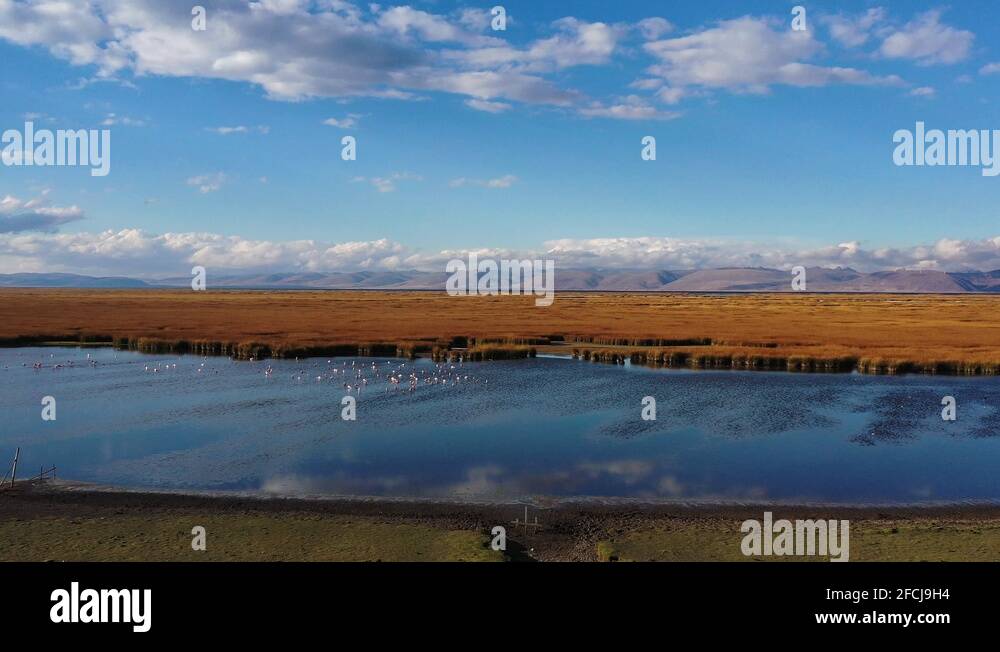 Lake junin peru Stock Videos & Footage - HD and 4K Video Clips - Alamy