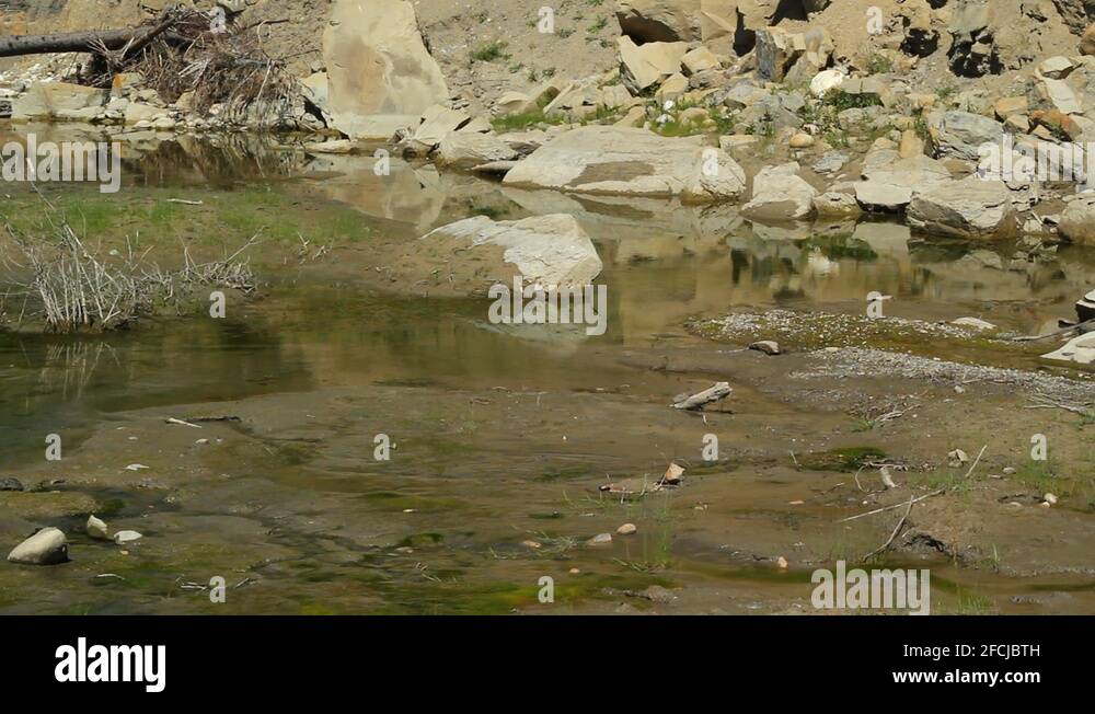 Weather heatwave river Stock Videos & Footage - HD and 4K Video Clips ...