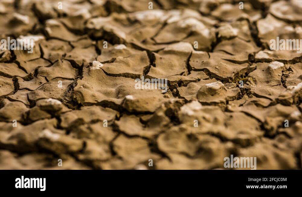 Dried mud track Stock Videos & Footage - HD and 4K Video Clips - Alamy