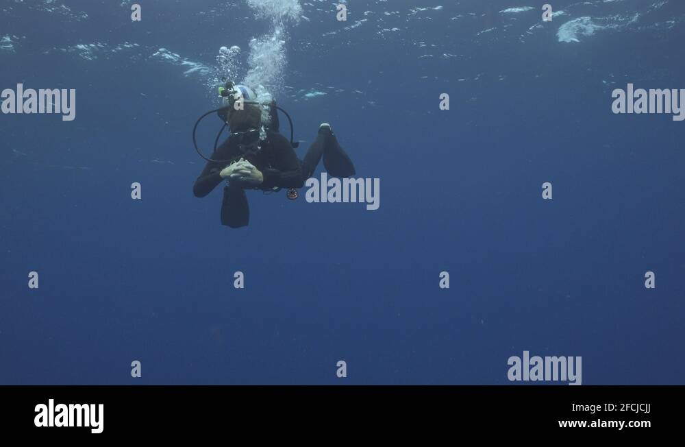 Diving decompression Stock Videos & Footage - HD and 4K Video Clips - Alamy