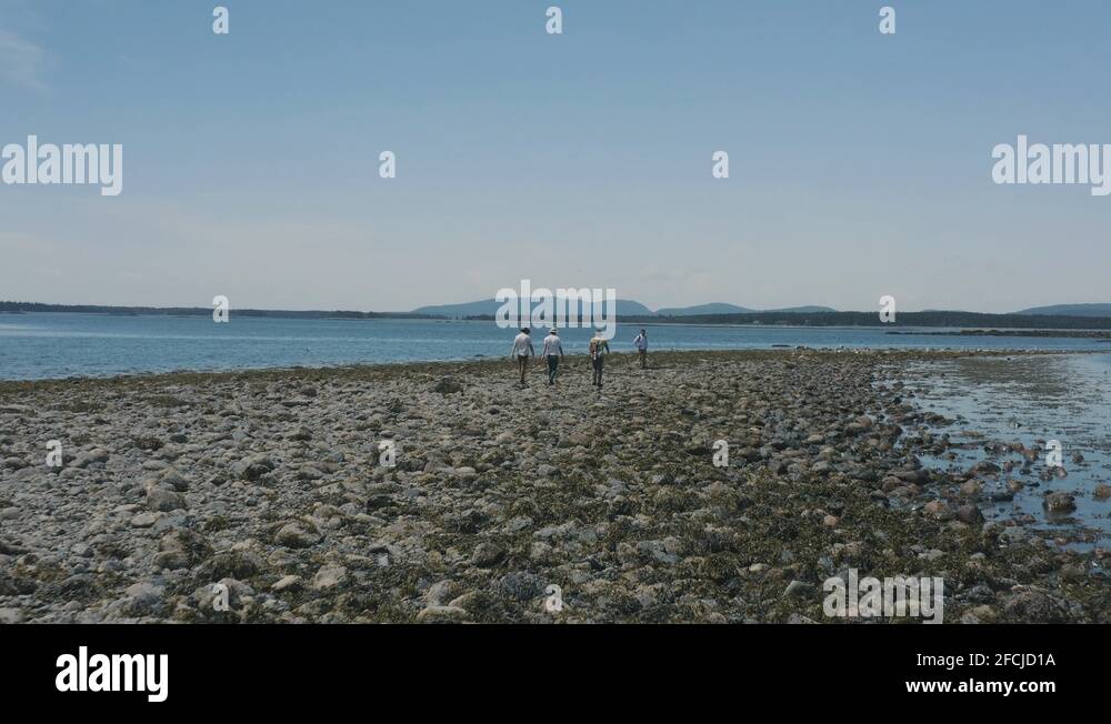 Island pathway Stock Videos & Footage - HD and 4K Video Clips - Alamy