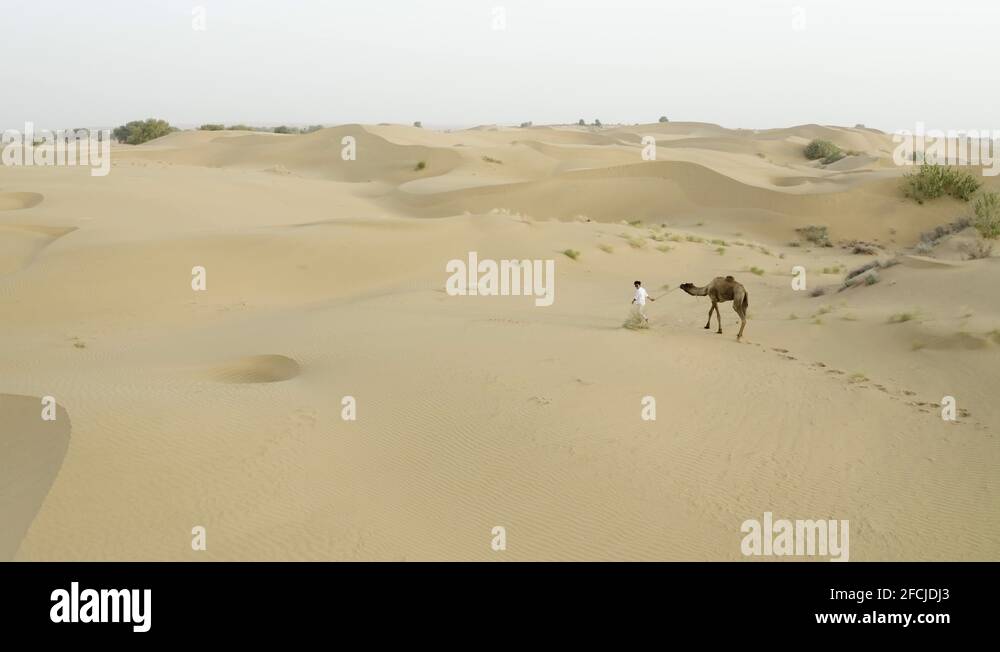 4K Aerial Drone Footage of a man walking a camel through the Thar ...