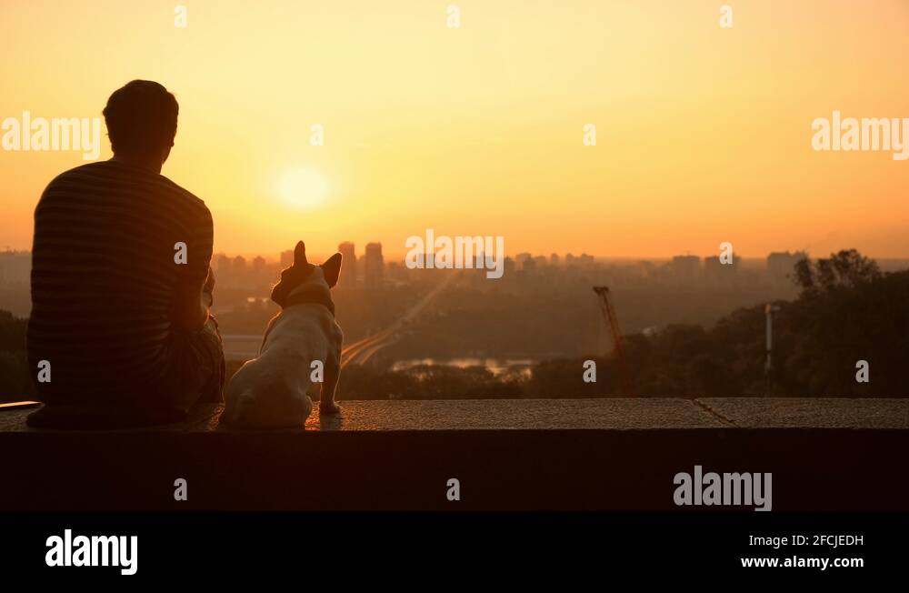 back view of a man sitting at the observation deck Stock Video Footage ...