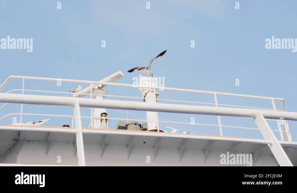 Top of ferry Stock Videos & Footage - HD and 4K Video Clips - Alamy