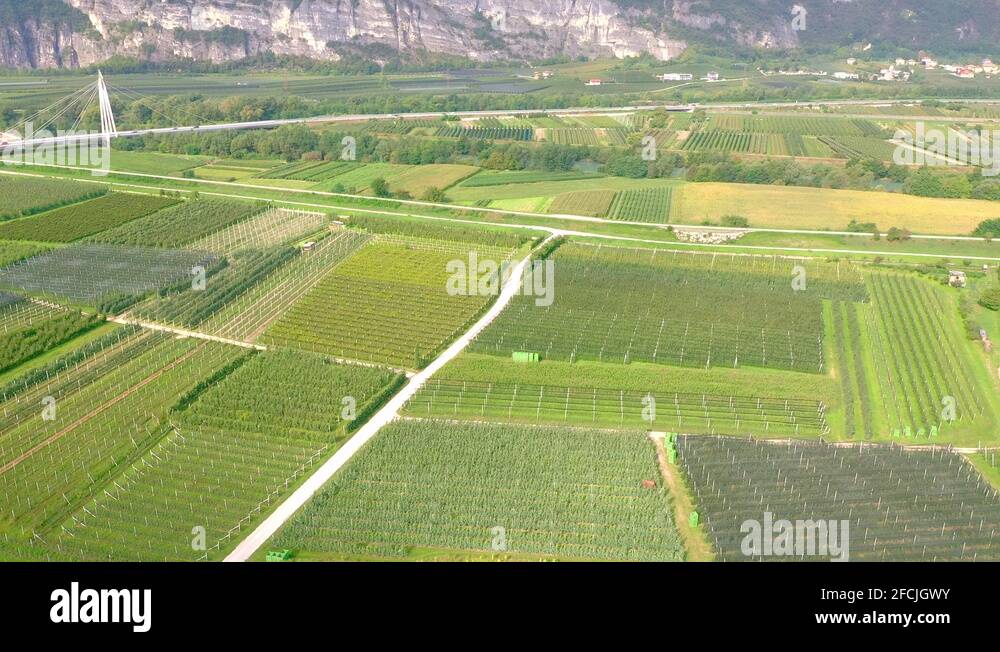 Aquatint or lavis Stock Videos & Footage - HD and 4K Video Clips - Alamy