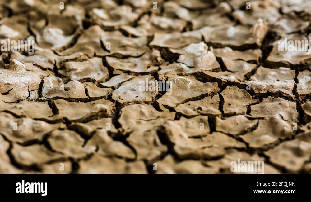 Sun dried mud Stock Videos & Footage - HD and 4K Video Clips - Alamy