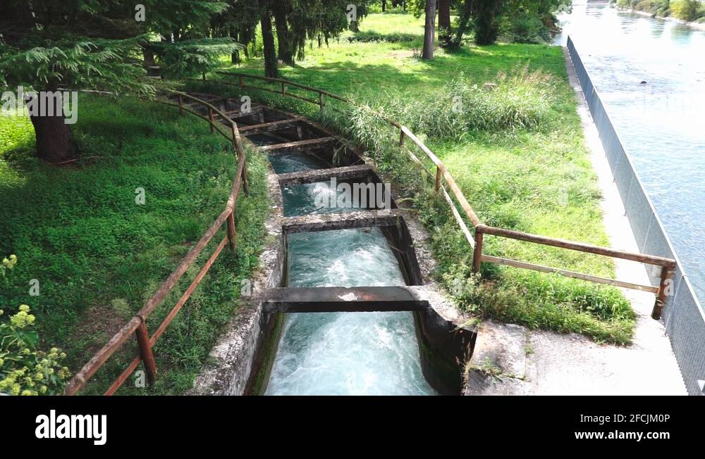 Water channel in park Stock Videos & Footage - HD and 4K Video Clips ...