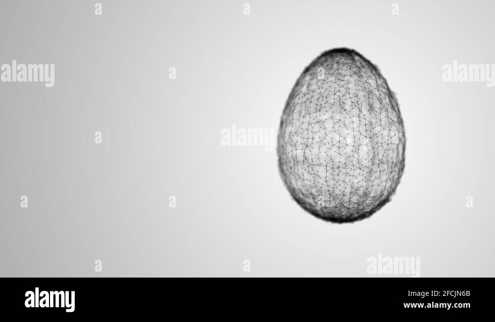 Egg structure Stock Videos & Footage - HD and 4K Video Clips - Alamy