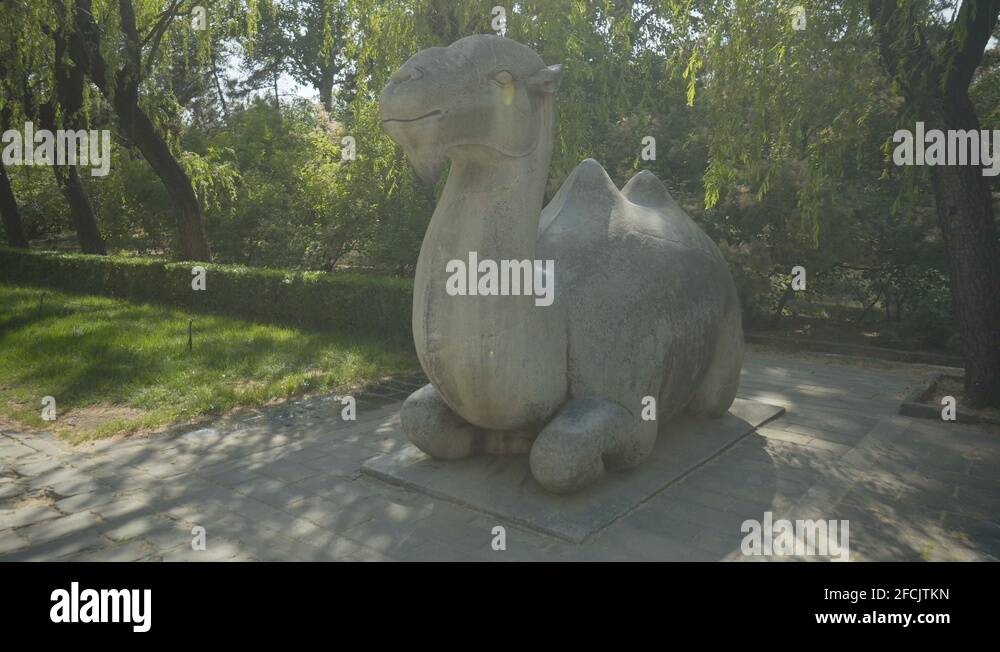 Kneeling Bactrian camel statue on the sacred way of Ming Dynasty Tombs ...