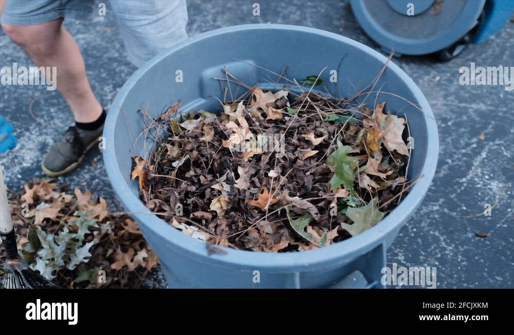 Cleanup activity Stock Videos & Footage - HD and 4K Video Clips - Alamy