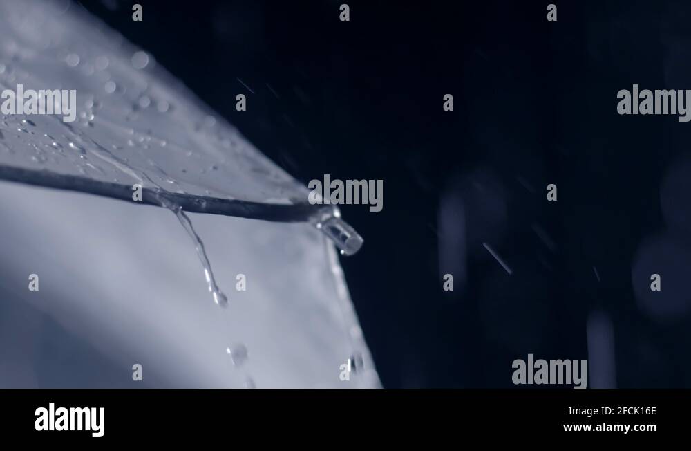 Clear plastic umbrella Stock Videos & Footage - HD and 4K Video Clips ...