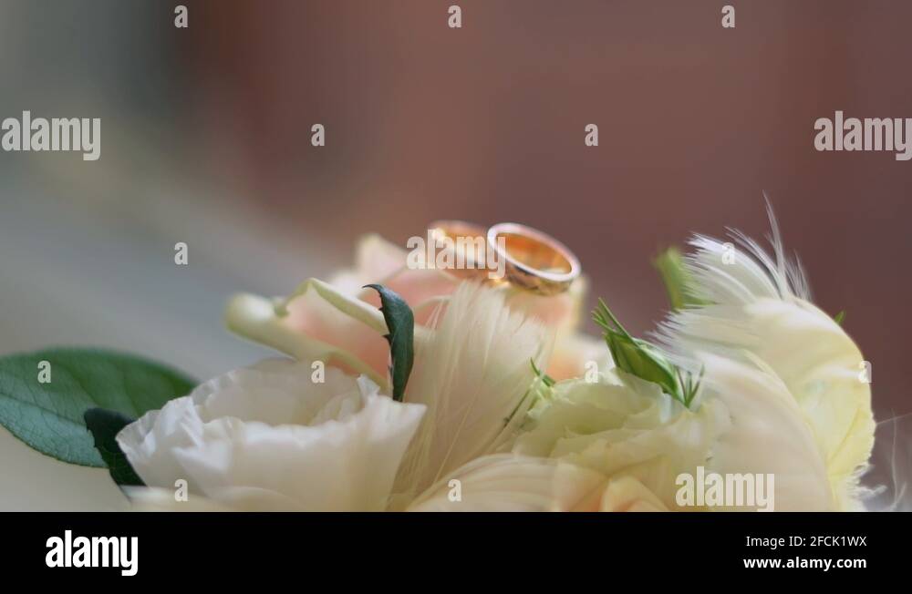 Pair rose love Stock Videos & Footage - HD and 4K Video Clips - Alamy