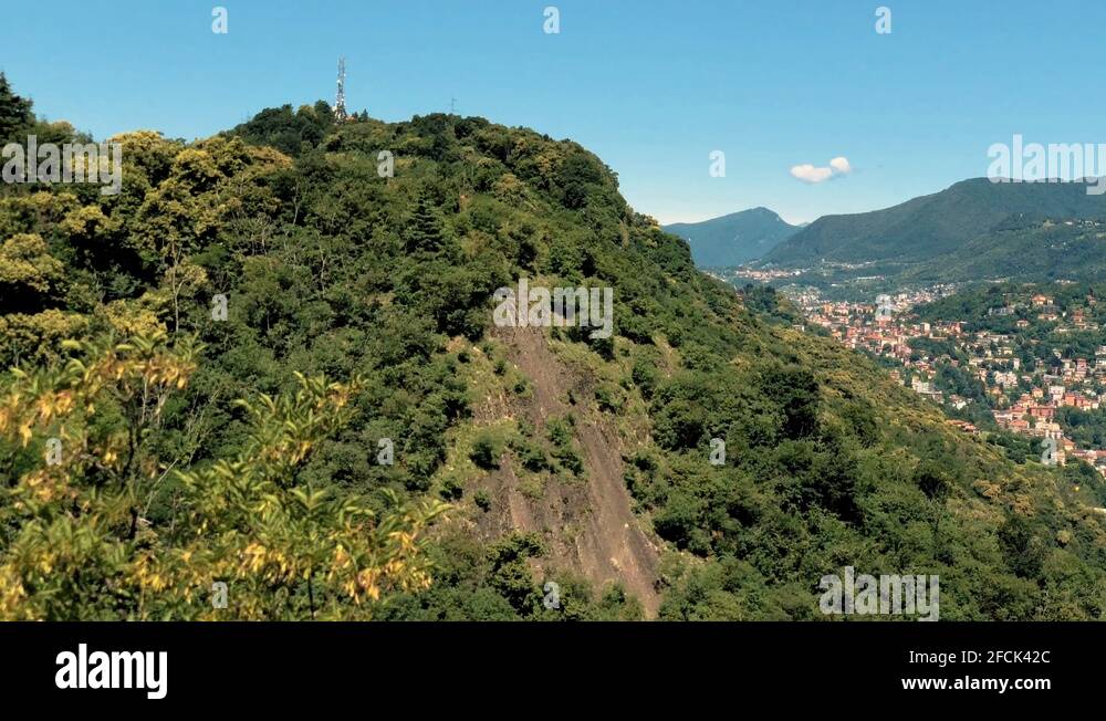 Spina verde Stock Videos & Footage - HD and 4K Video Clips - Alamy