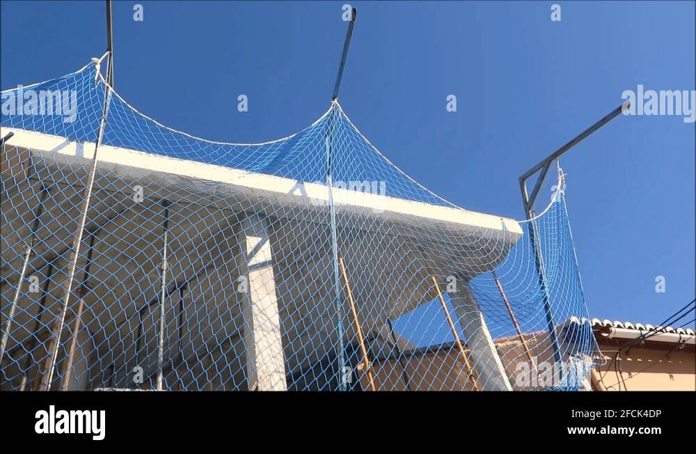 Netting cover Stock Videos & Footage - HD and 4K Video Clips - Alamy