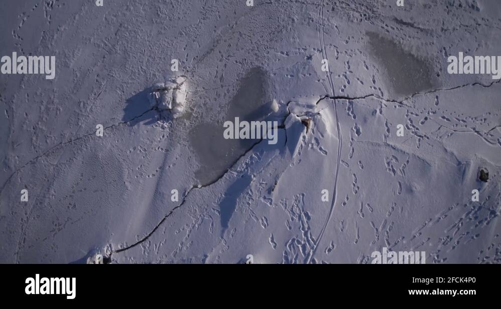 Arctic eye Stock Videos & Footage - HD and 4K Video Clips - Alamy