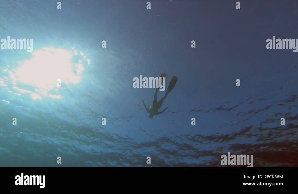 Underwater: Diver Floating at the Water's Surface - Sinai Peninsula ...