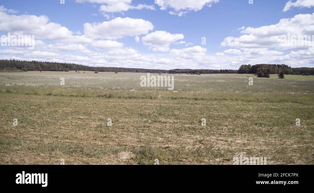 Crop agriculture Stock Videos & Footage - HD and 4K Video Clips - Alamy