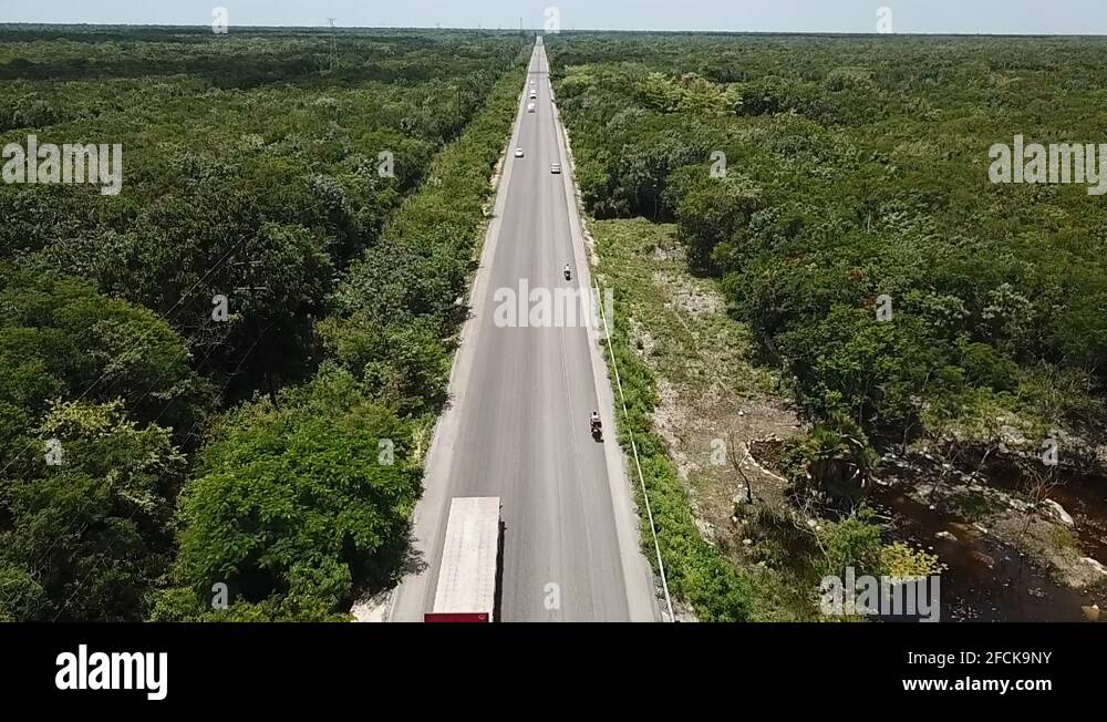 Mexican Road In The Middle of Tropical Rainforest With Direction to ...