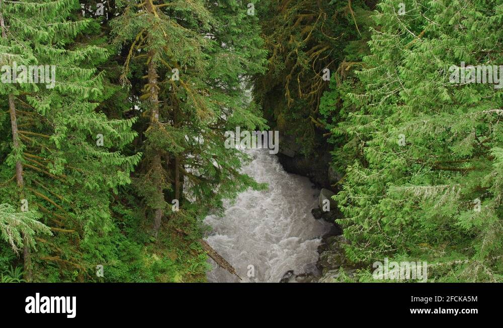 Rainforest river top view Stock Videos & Footage - HD and 4K Video ...