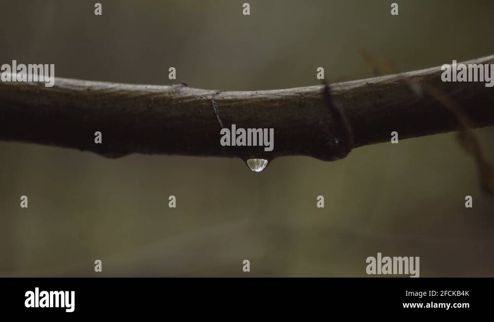 Raindrop refraction Stock Videos & Footage - HD and 4K Video Clips - Alamy