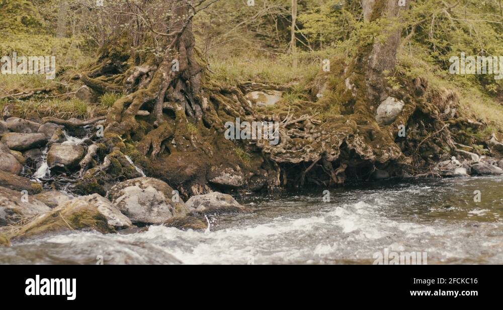 Dry water stream flow pattern. Stock Videos & Footage - HD and 4K Video ...