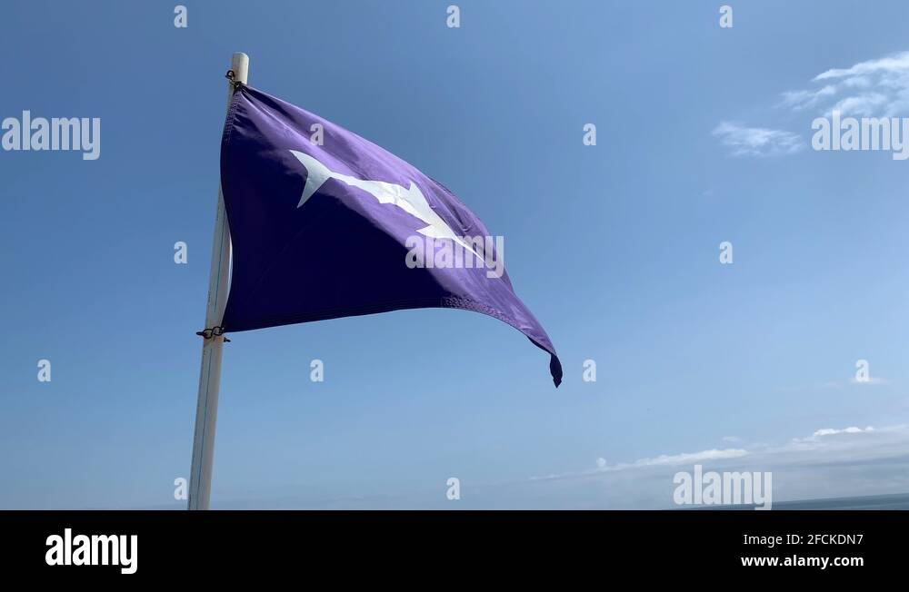Shark warning flag Stock Videos & Footage - HD and 4K Video Clips - Alamy