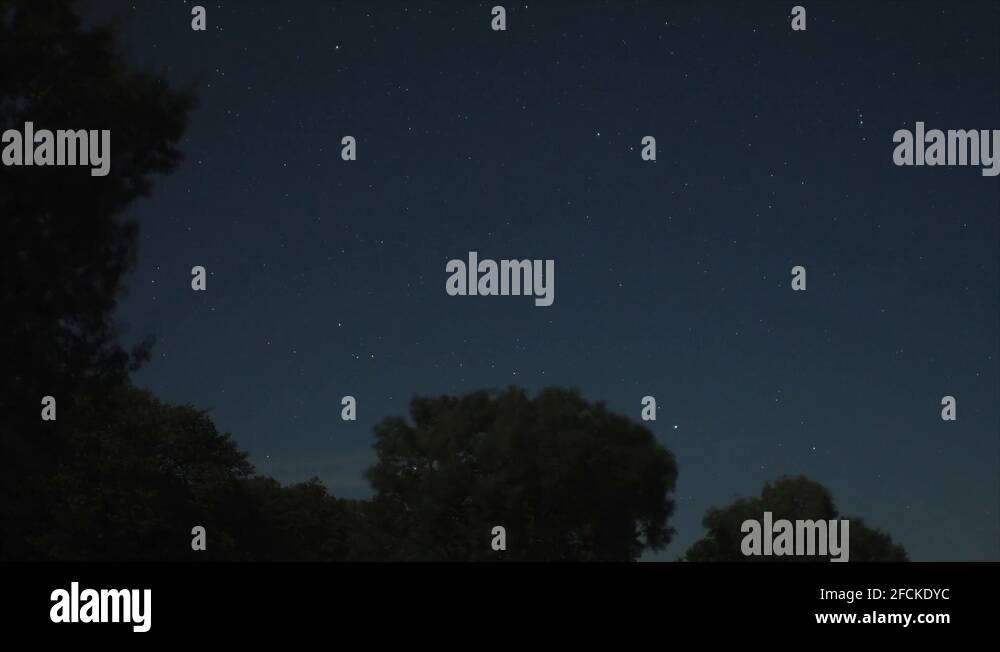 Wispy trees Stock Videos & Footage - HD and 4K Video Clips - Alamy