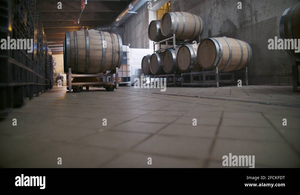 Wine barrels are carted around in a cellar in this stunning 4K clip ...