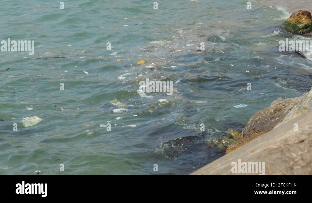 Poor waste management Stock Videos & Footage - HD and 4K Video Clips ...